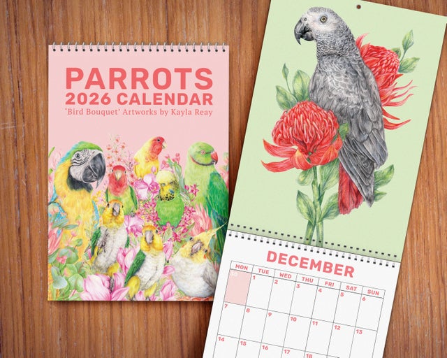 A4 Art Calendar of Australian Bird Artworks - Made in Australia | Kayla ...